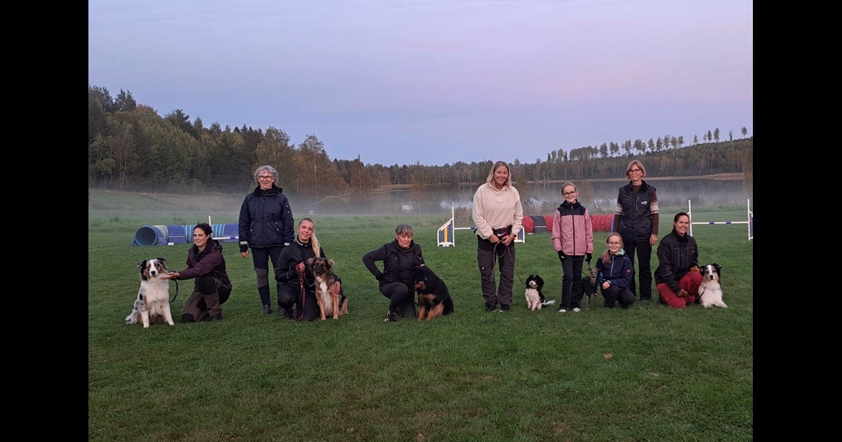 Avslutning för agility nybörjare - Kramfors Brukshundklubb