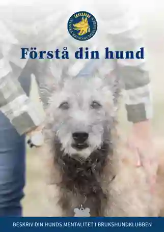 Om Mentalbeskrivning (MH) - Svenska Brukshundklubben