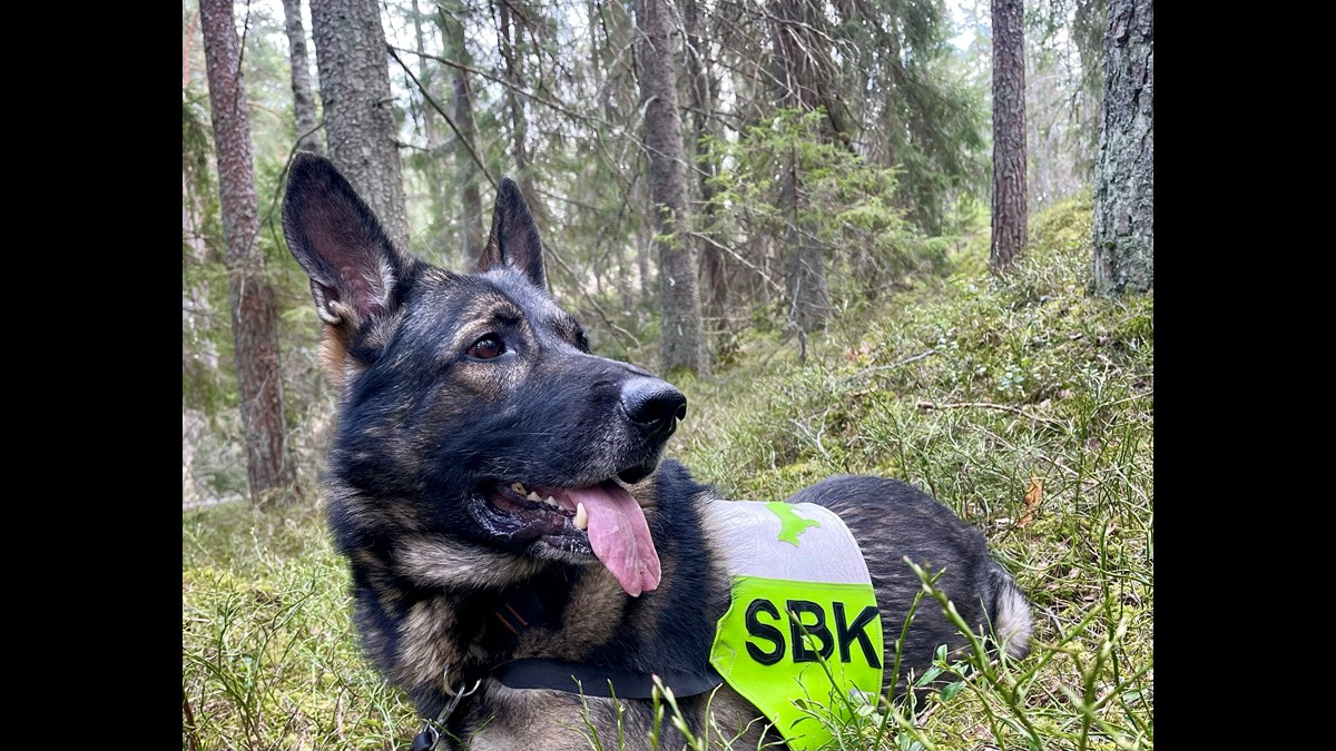 SBK Stockholmsdistrikt - SBK Stockholmsdistrikt
