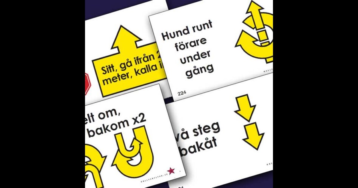 Rallylydnad - SBK Skånes Distrikt